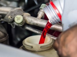 Changing the gear oil does not include the gear filter and the Cartier